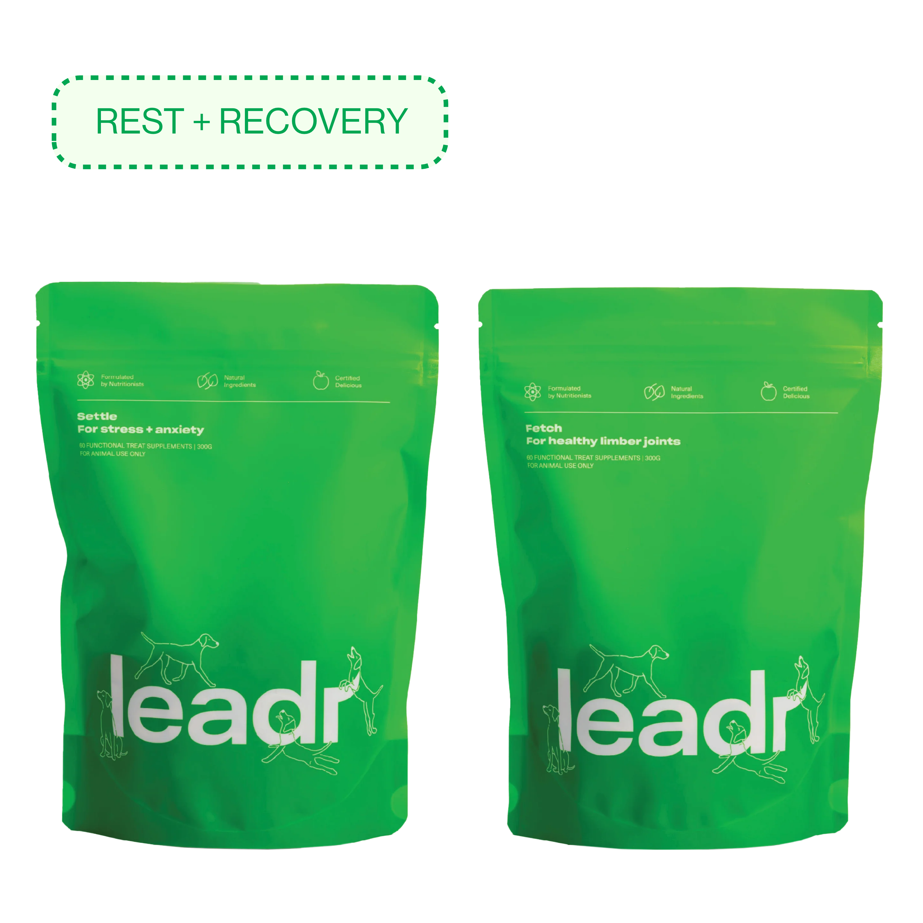 The Apartment Dog Pack – Leadr Pet