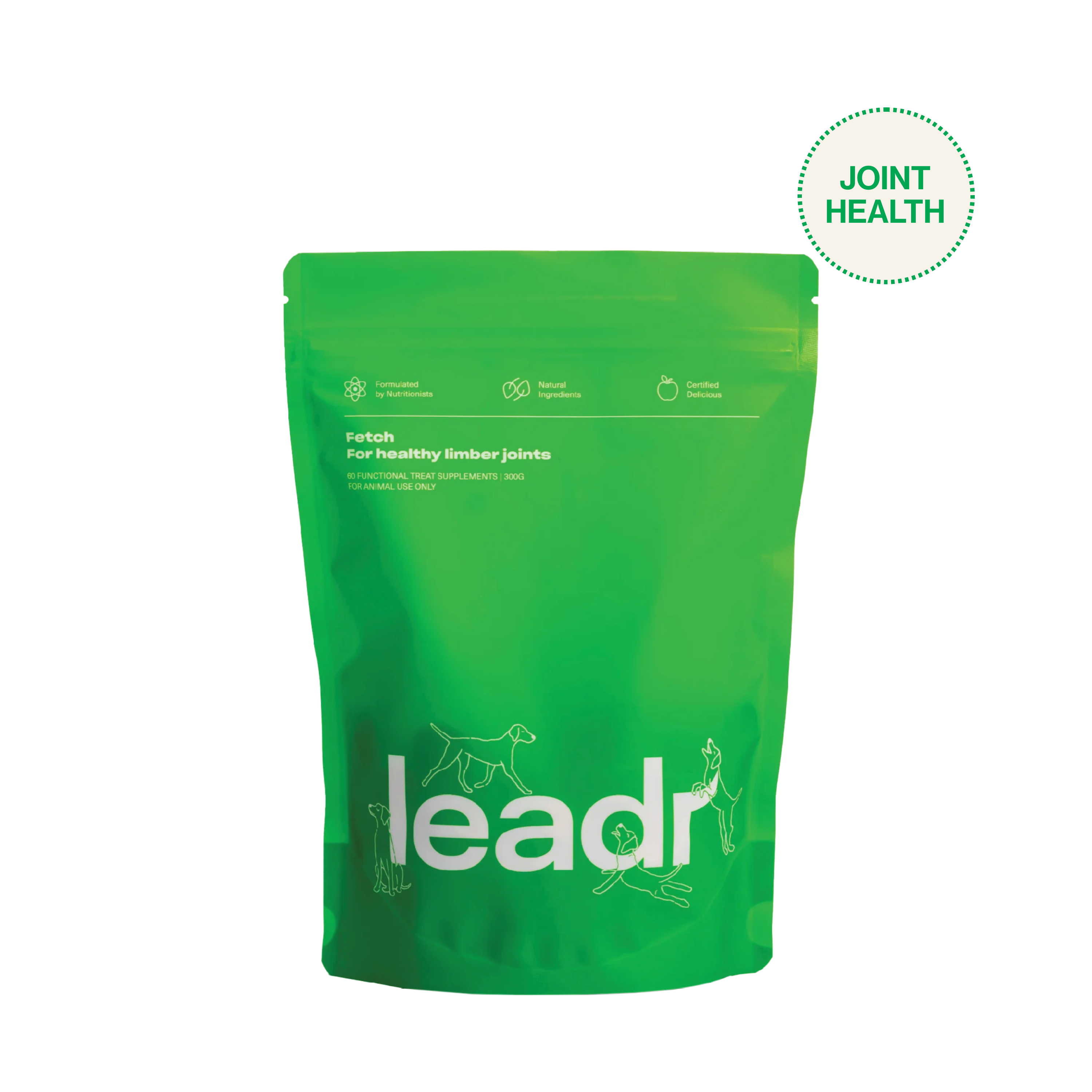 Fetch – Leadr Pet
